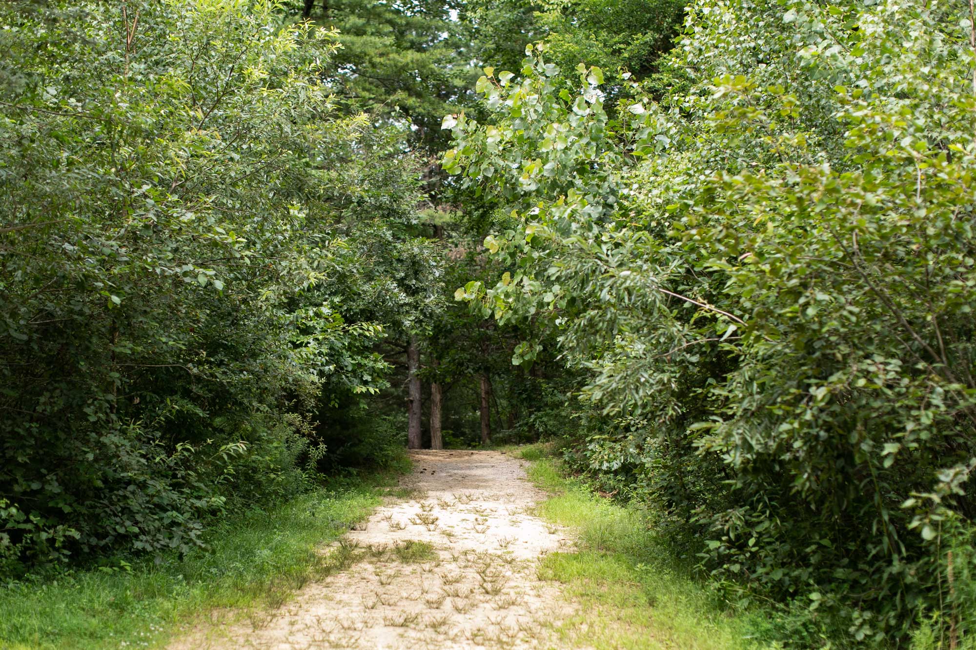The Trustees’ Tantiusques Reservation - Sturbridge