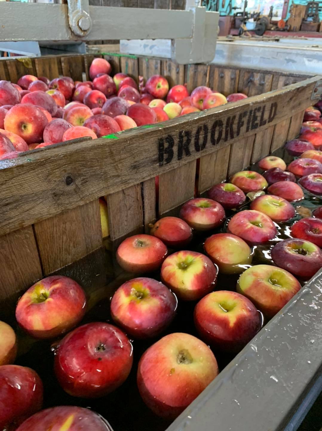 Brookfield Orchards - Sturbridge
