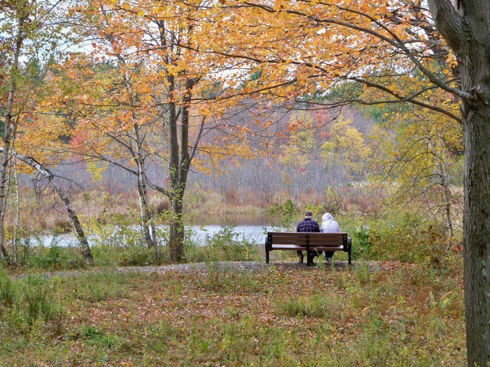 Sturbridge Serenity: Wellness Retreat - Sturbridge