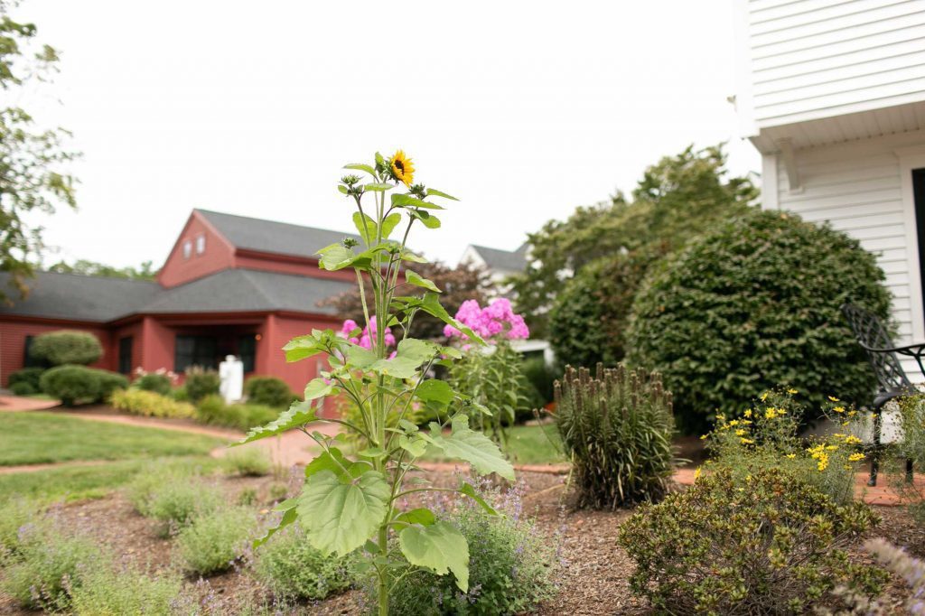 Springtime in Sturbridge - Sturbridge